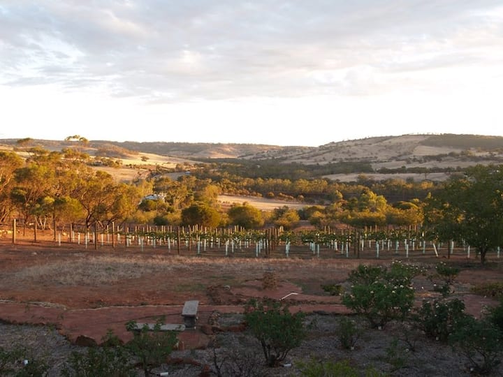 Pecan Hill B&b – Queen Room I - Toodyay