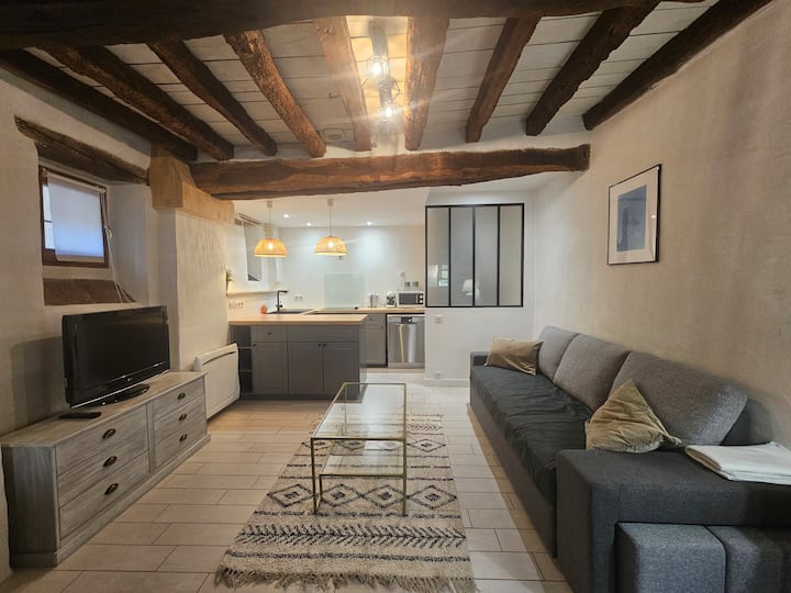 Le Froufrou De Mélusine- Albi Centre Historique - Albi