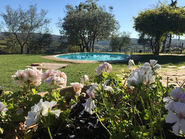 Romantic Villa With Private Pool And Fabulous View - Radda in Chianti
