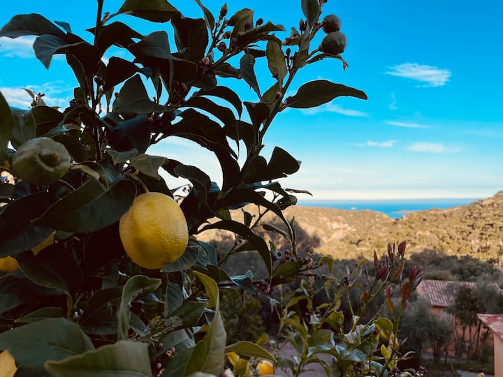 Maison « Laurier Rose » à Palombaggia - Porto-Vecchio