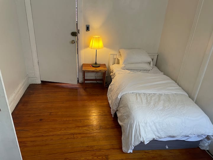 Prolonged Traveler's Dream. - The Bronx, NY