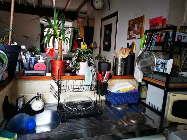 Appartement Vieux Lille, Très Proche Centre Ville - Lille