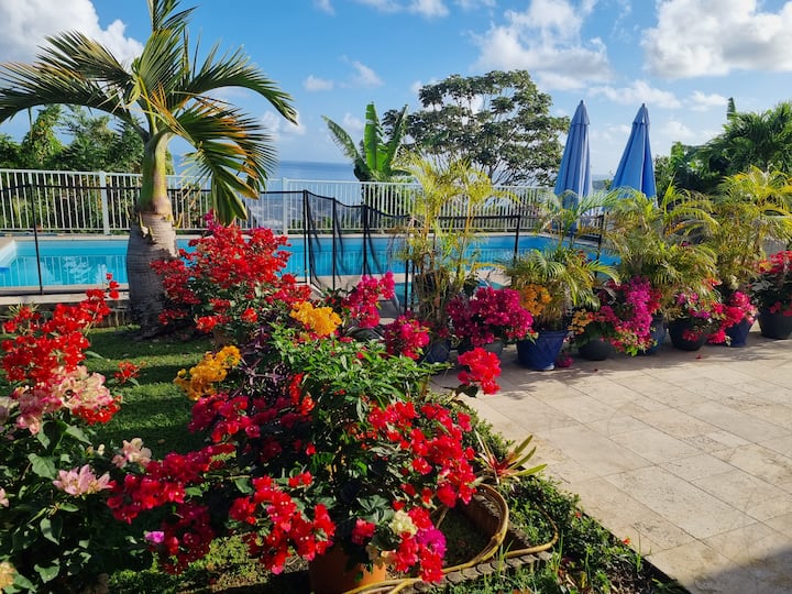 Appartement Dans Villa Les Frégates Avec Piscine - Martinica