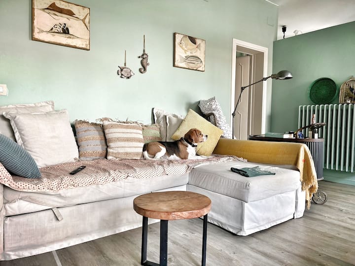 Panasini's House - Castagneto Carducci