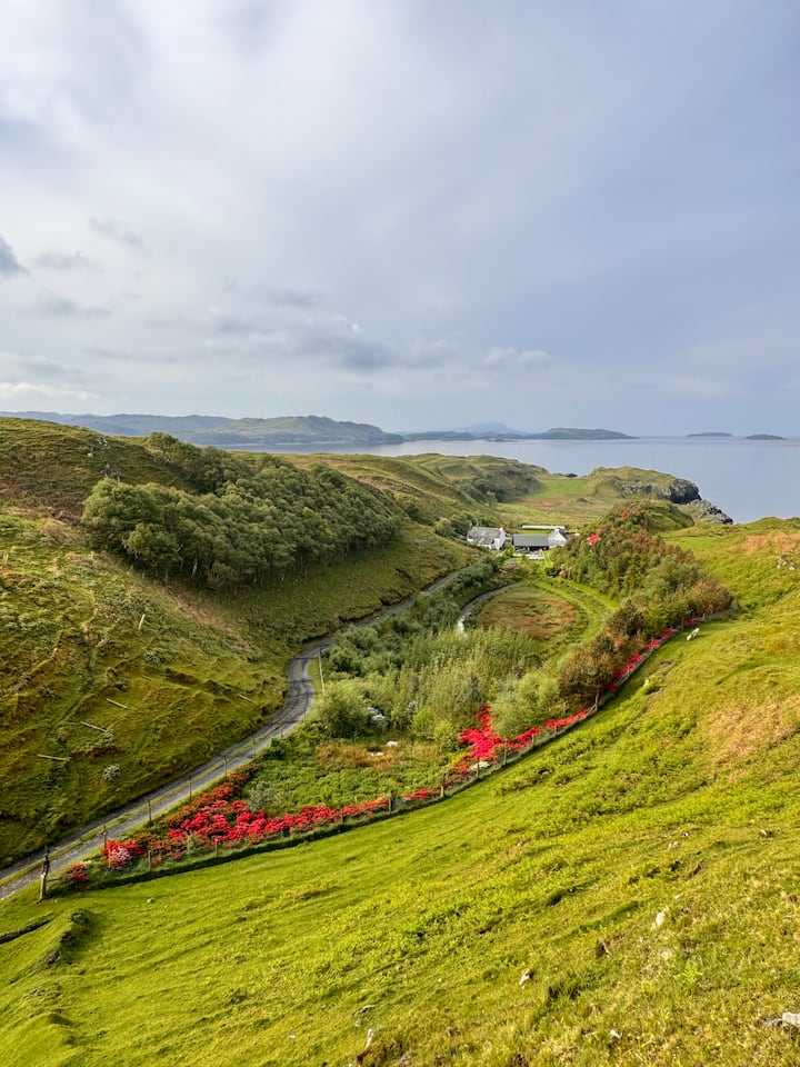 Galley Cabin - Loch Awe