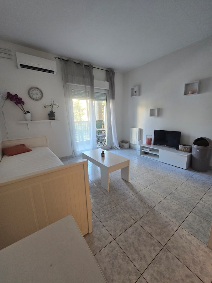 Studio Proche Mer Promenade Des Anglais Nice - Nizza