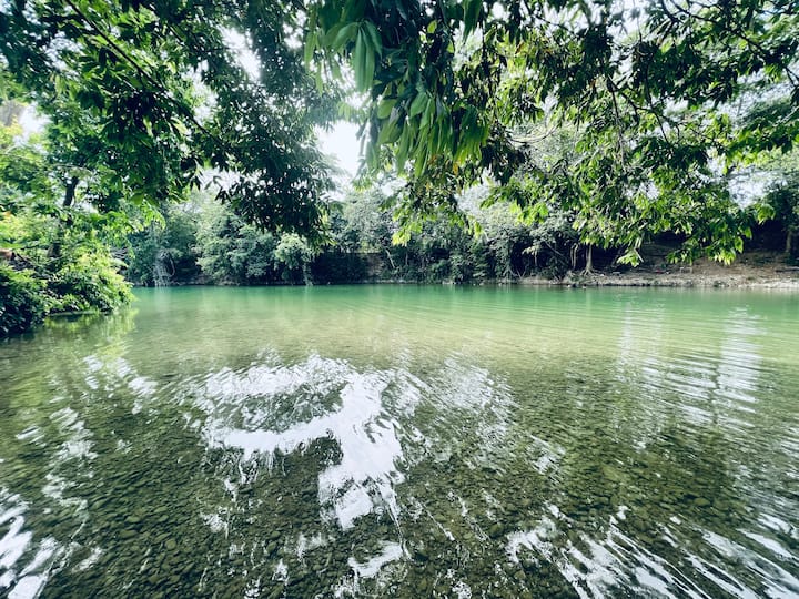 Pristine Riverside Toucan Apartment - Belize