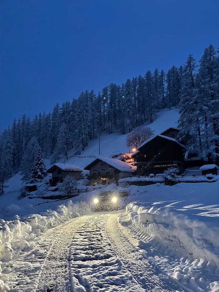 Rascard-granier Altavia1682 - Chamois