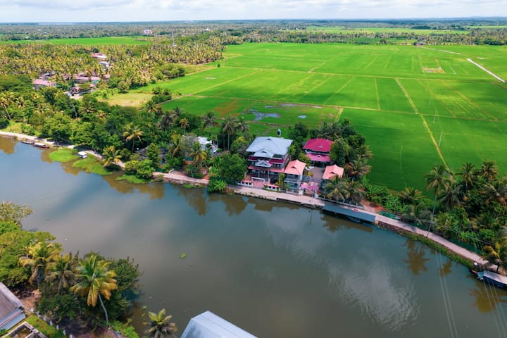 Mango Kerala Homestay - Paddy View Rooms - クマラコム