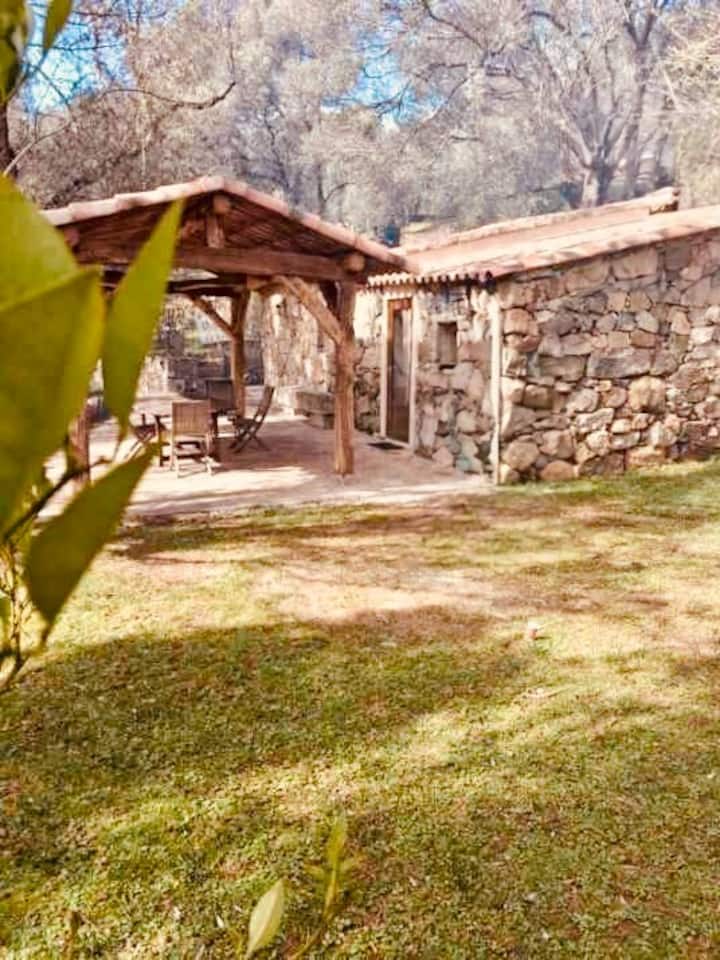 Caseddu Entre Mer Et L'ombre Des Oliviers N°1. - Olmeto