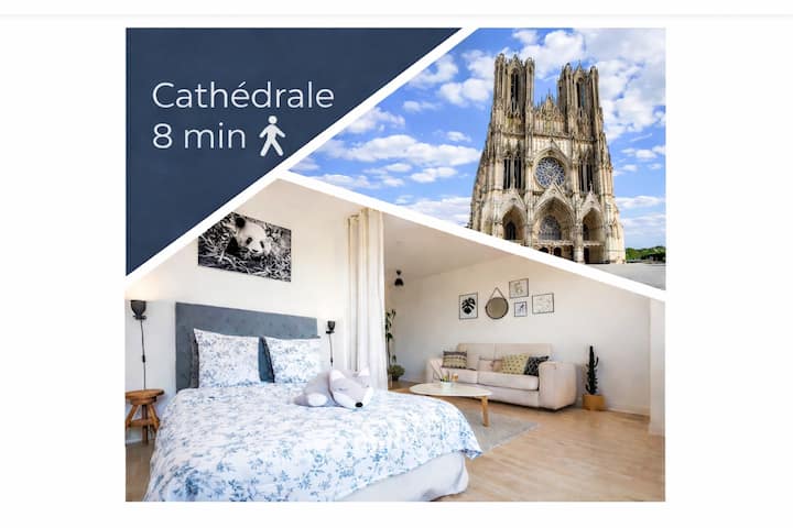 Lumineux Proche Cathédrale, Parking Privé - Cormontreuil