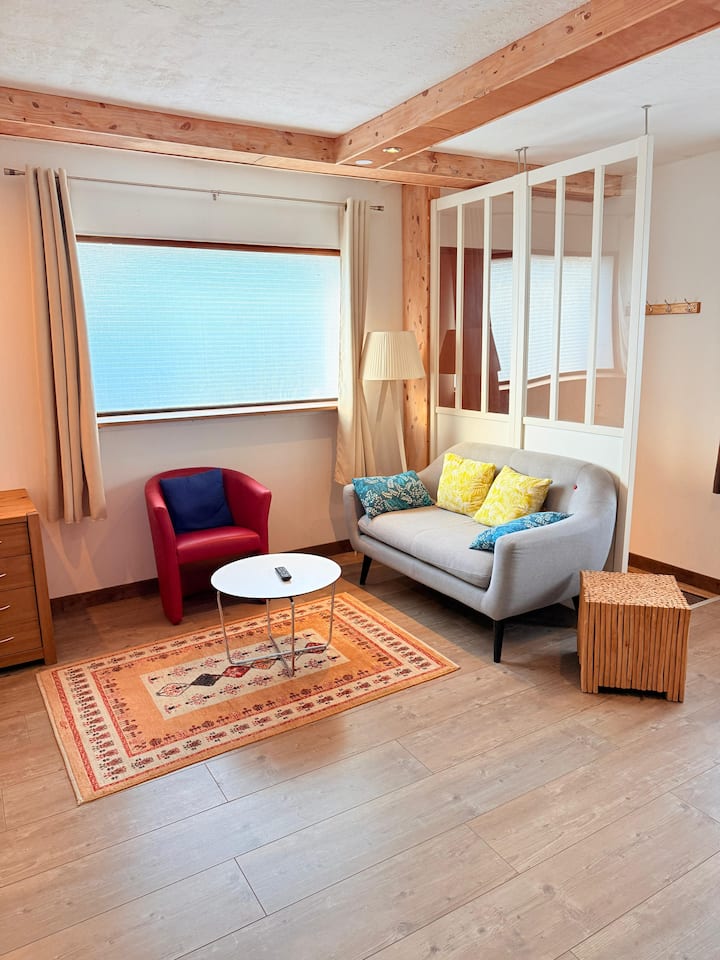 Ecrin D'artiste Entre Montagne Et Genève - Cruseilles