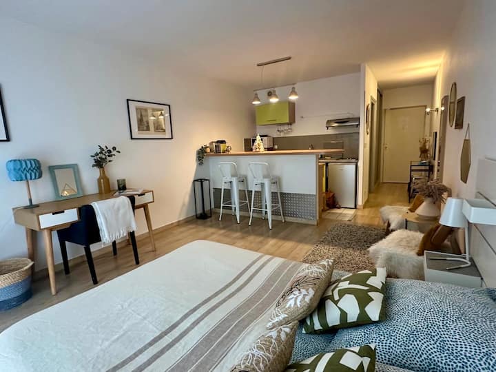 Charmant Appartement Au Cœur De Strasbourg - Wifi - 스트라스부르
