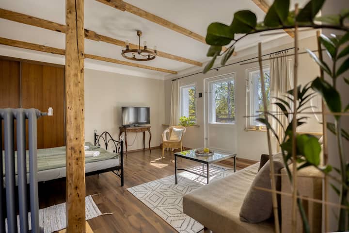 Villa Sopot Słoneczne Poddasze - Sopot
