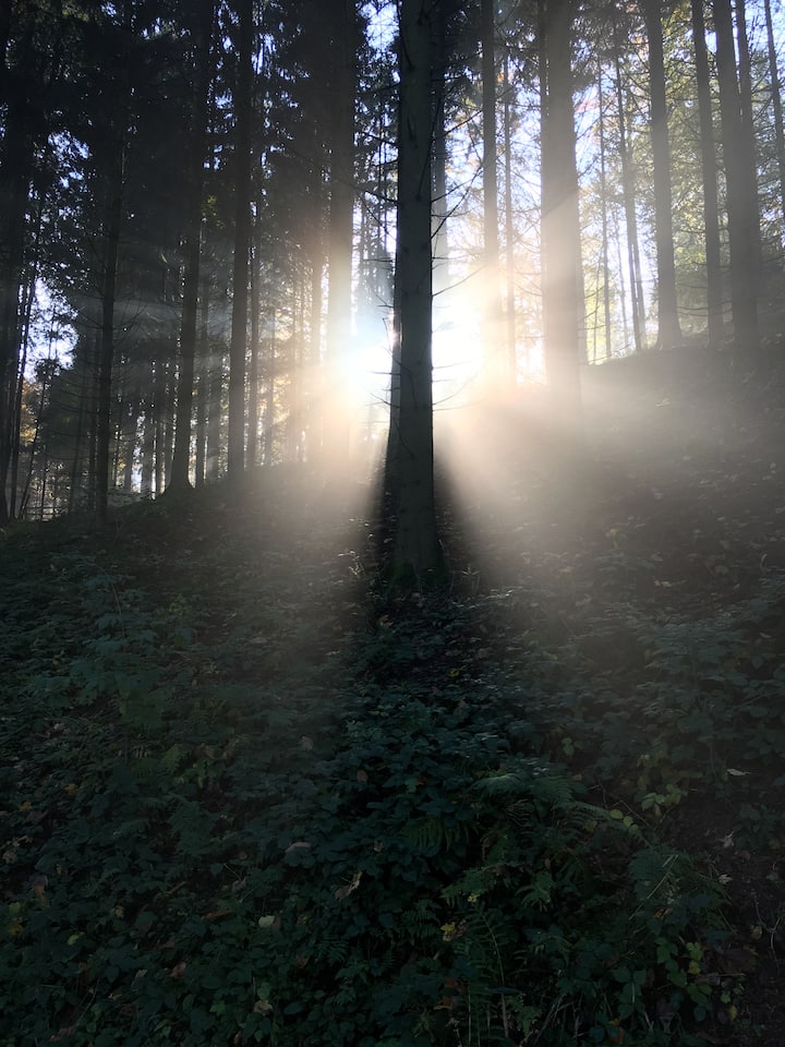 House With A View/haus Raiser - Gengenbach