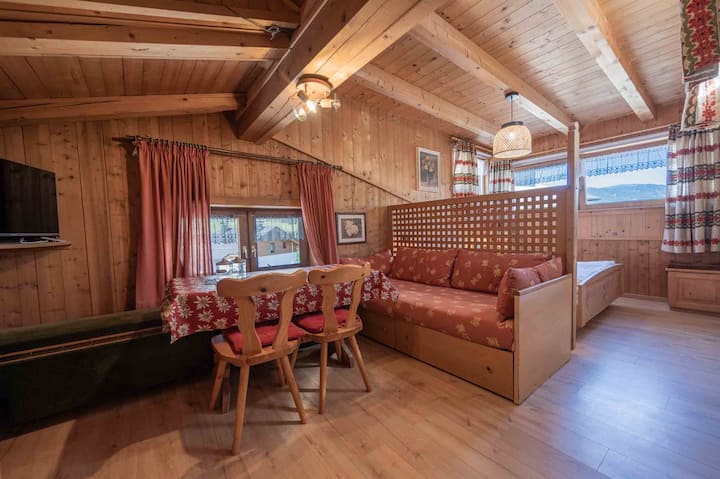 Lustige Hutte-apartment At 100 Mt. From Ski Slopes - Kronplatz