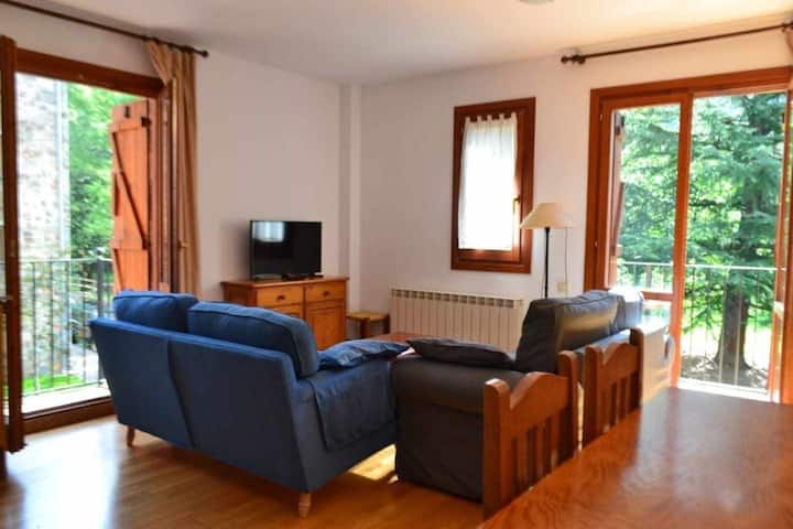 Apartamento Céntrico Pitarroy 4 + 2 Pax - Benasque