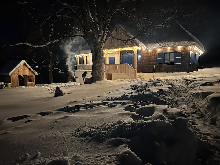 Casa Cu Copaci: Romanian Historical Farmhouse. - Roumanie