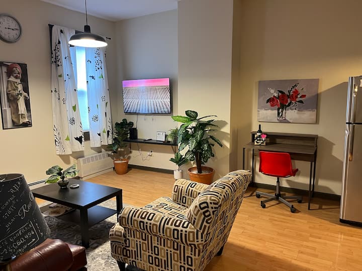 Best Location W/parking! Apt. W/ Private Entrance! - Buffalo, NY