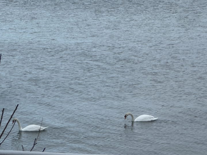 Fresh Powder! Lovelylakeside Lodge/pets$ Welcome - Canandaigua, NY