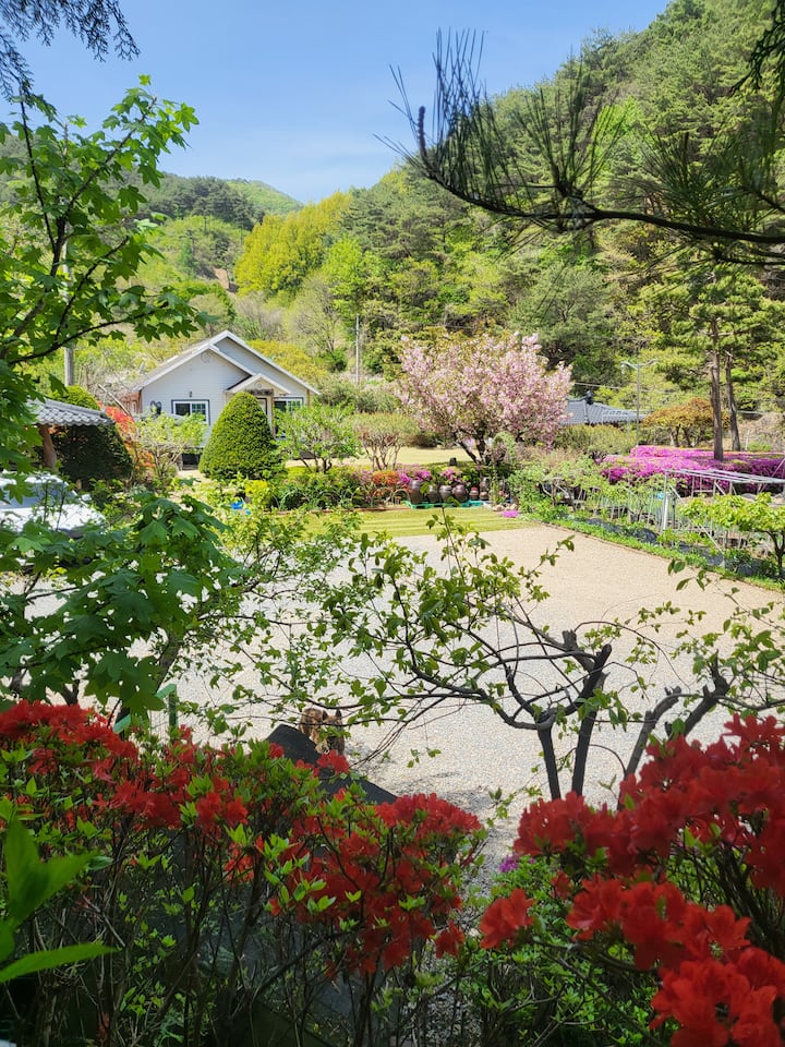 [관송재] 독채별장/300평 잔디정원/대형거실/지막계곡5초/대가족모임/큰정자/지리산 - 산청군