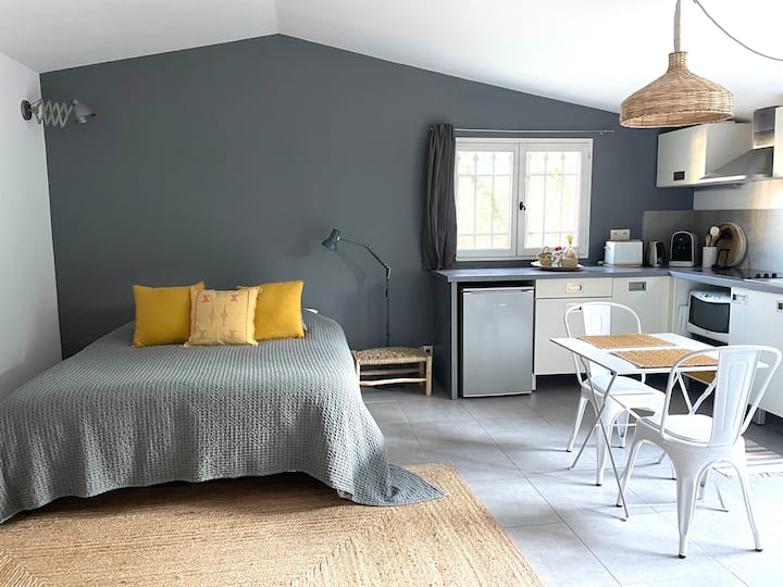 Studio Meublé + 1 Place De Parking Gratuite - La Roquette-sur-Siagne