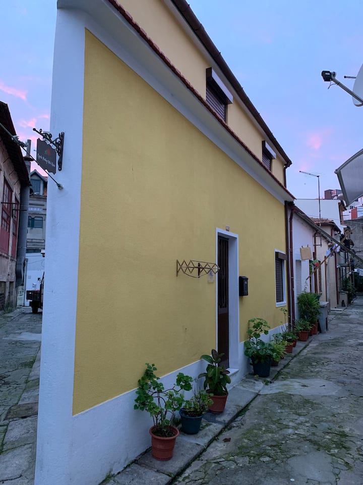 Historic Courtyard Oasis | Semi-detached House - Porto