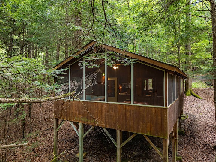 Cabin With Hot Tub In The Woods Near National Park - Fayetteville, WV