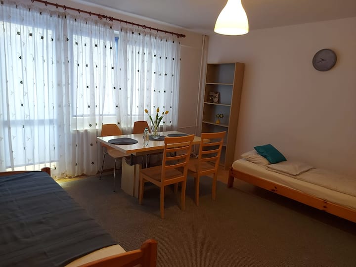 Comfortable And Sunny Apartment In A Good Location - Olsztyn