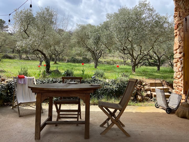 Maison Off-grid Près Des Lacs Et Gorges Du Verdon - Quinson