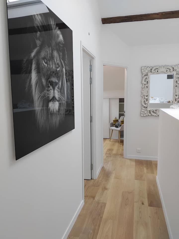 Duplex Centre De Cannes - Vallauris