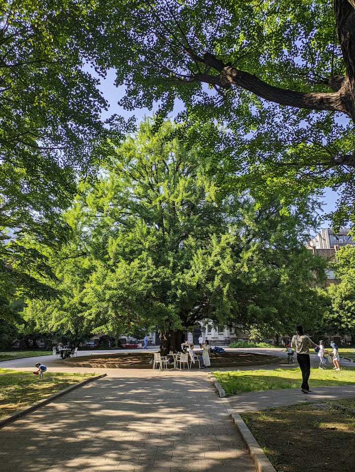 【Chartering】near Tokyo Univ./dome #Friendly Host - Tokio