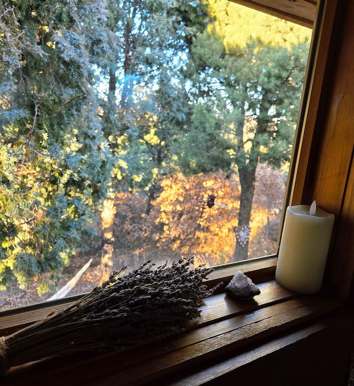 Quiet, Peaceful Cabin W/fisher's Peak Views - Colorado