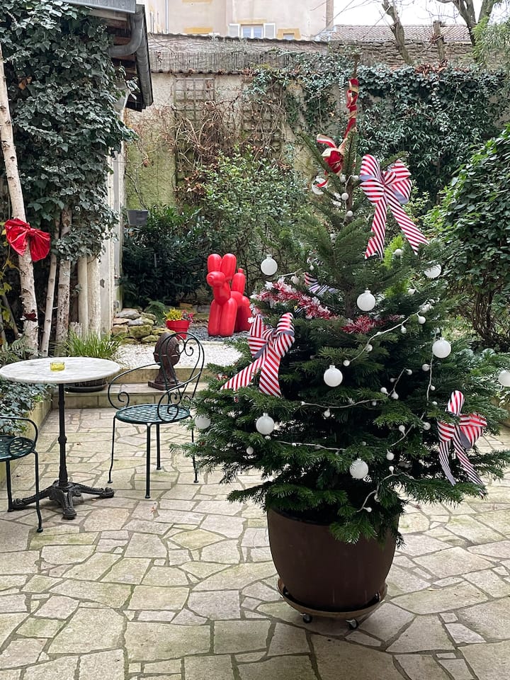 Logement 2 Pers En  Rdc + Terrasse à Metz Centre - Metz