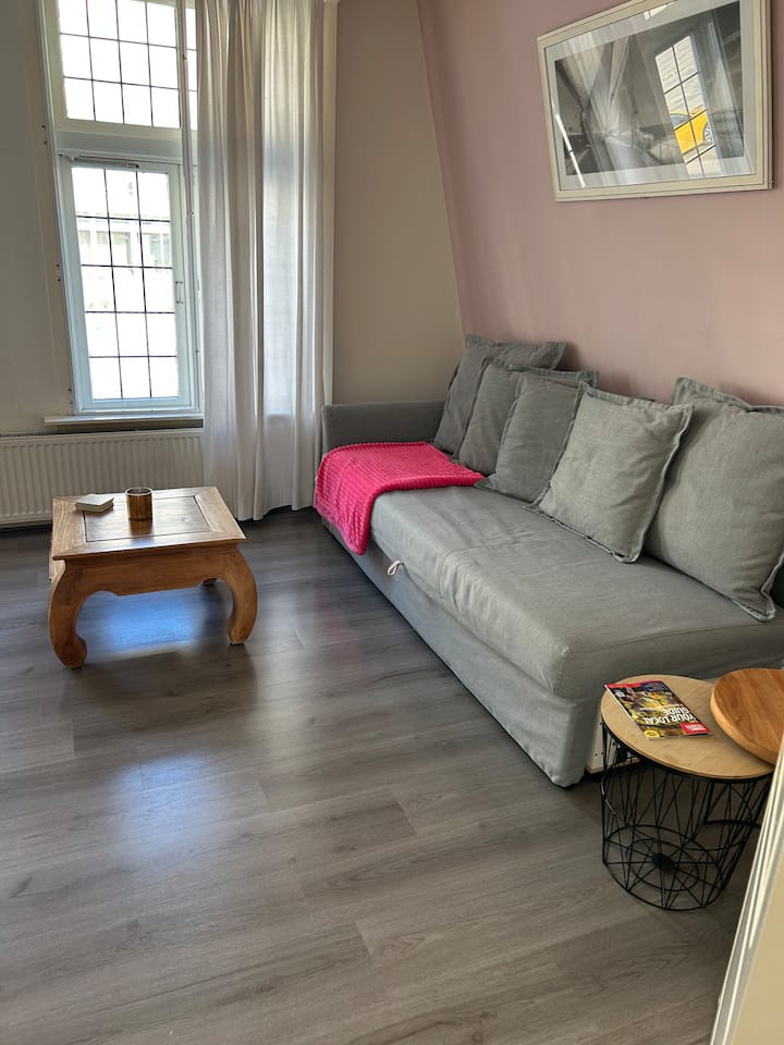 App Flamingo 2 Vlakbij Het Strand - Zandvoort