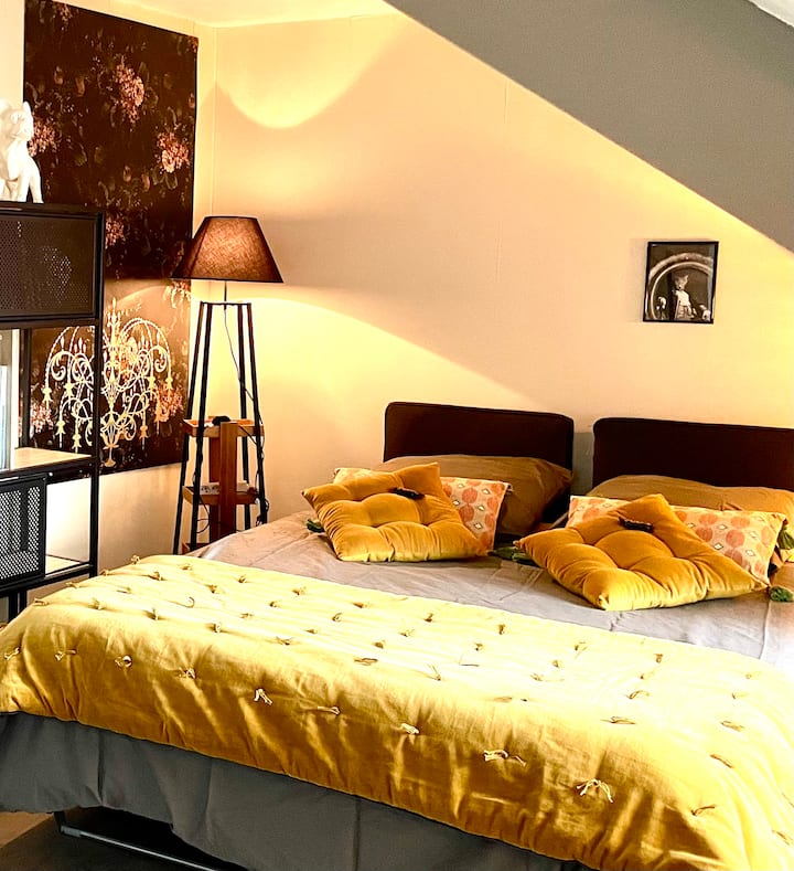 Appart Cosy Belle Vue Centre Vitré - Vitré