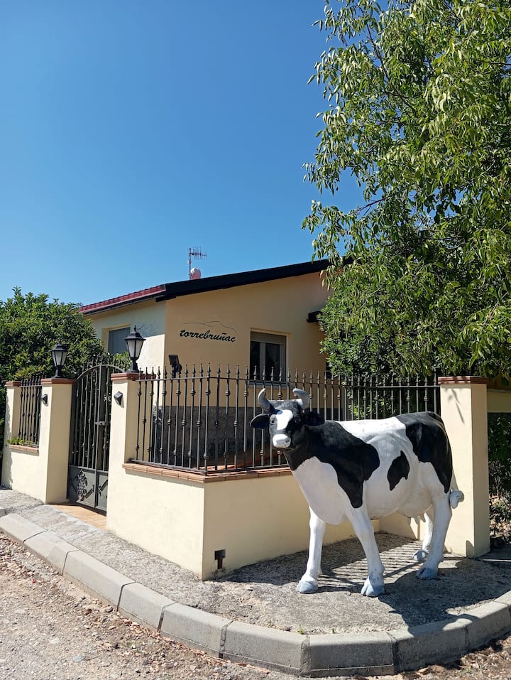 Casa Especial Para Grupos De Hasta 22 Personas - Campo