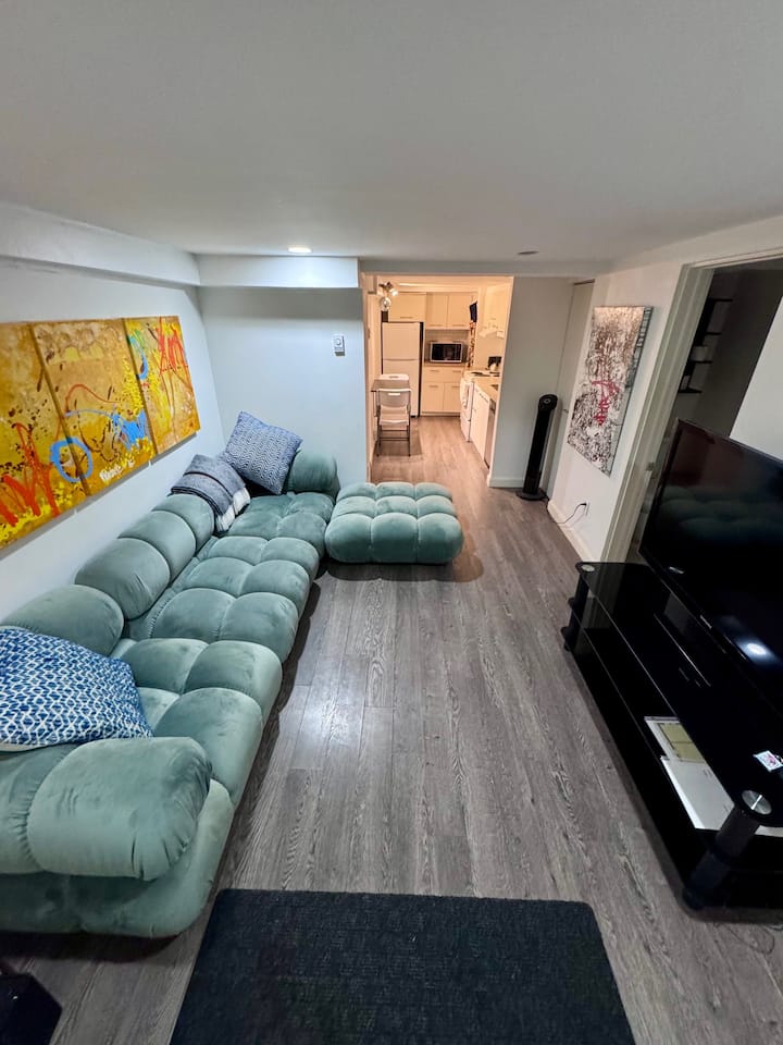 Renovated Apartment In The Heart Of The Junction - Toronto