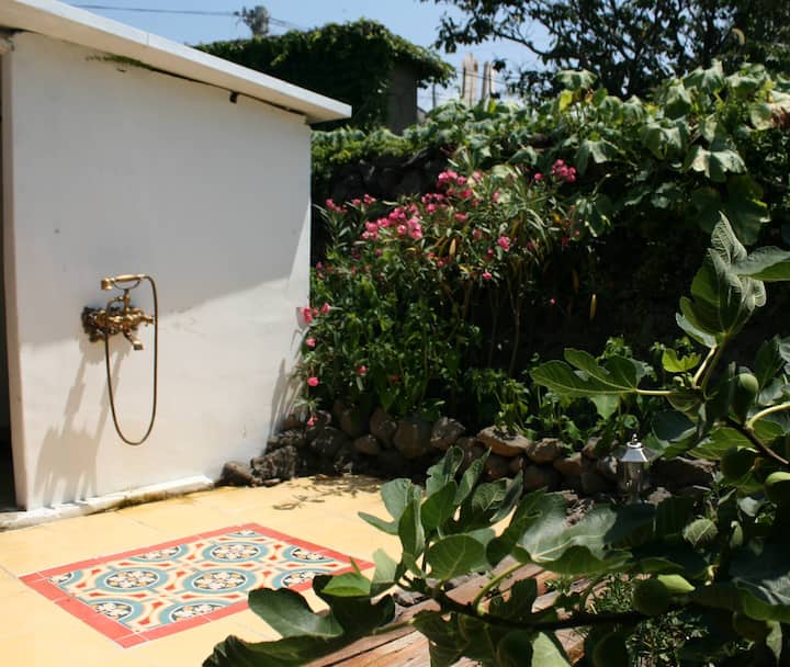 뷰티풀메스 시즌2) My Sanctuary '마이 생튜에리' /이호테우해변 독채민박/ - South Korea