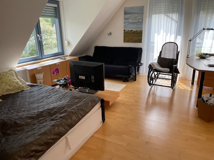 Prés De Airport Et Messe 4 X Chambre - Düsseldorf