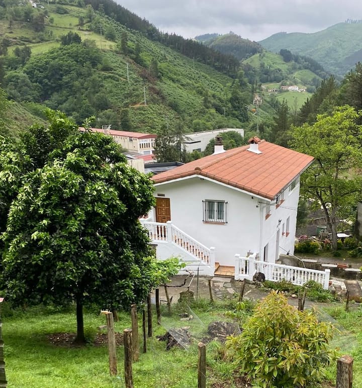 Casa Entera Sin Zonas Comunes Y Acceso Privado. - Deva, España