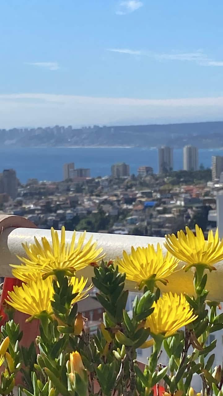 5* Valpo/viña Equipadísimo Hermosa Vista Y Estac. - Valparaíso