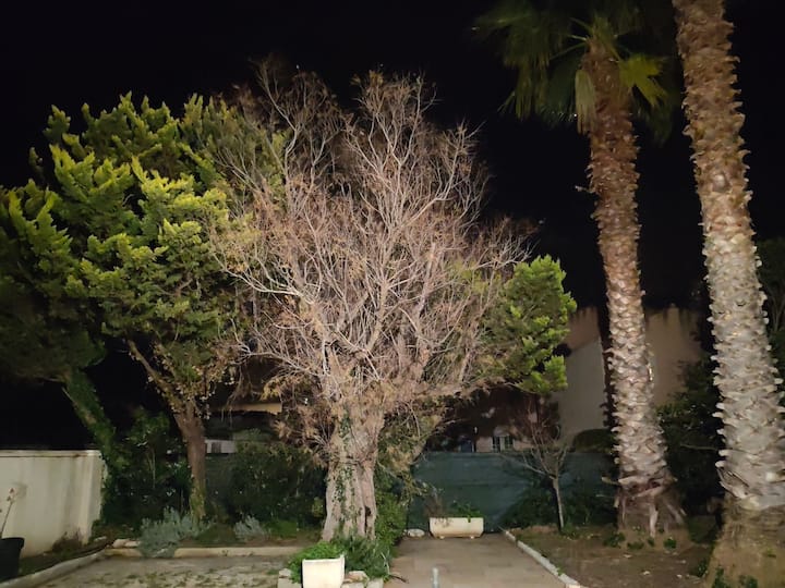 Charmant Bas De Villa - Martigues