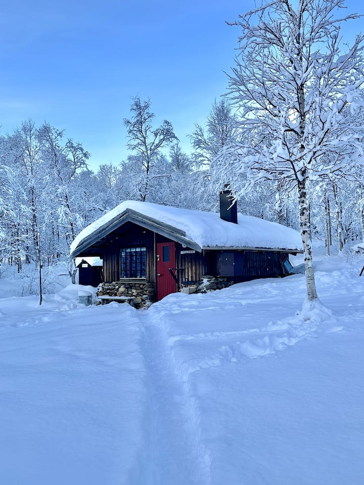Storeng Fjellgård - Norvège