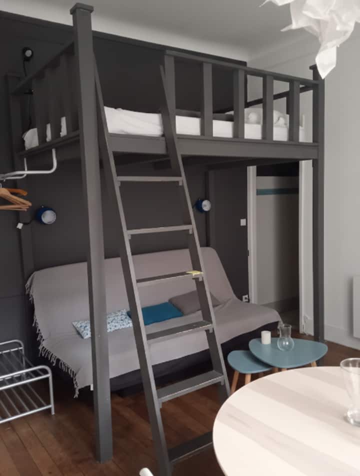 Studio Mont-dore Ancien Palace, Face Aux Thermes - Puy de Sancy