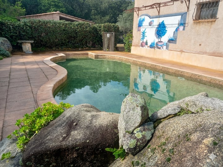 Mini Villa Studio Cosy 2 Pers 19 M² Piscine Clim - Corse-du-Sud