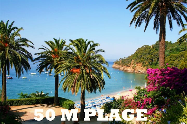 Villa 50 Meters Beach Seaview Wifi - Le Lavandou