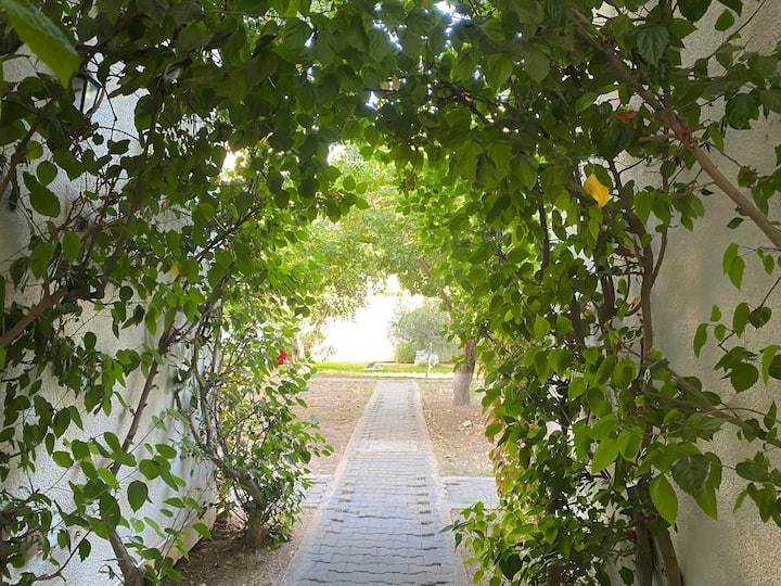 Appartement Eden à 300 M De La Plage - Hammamet