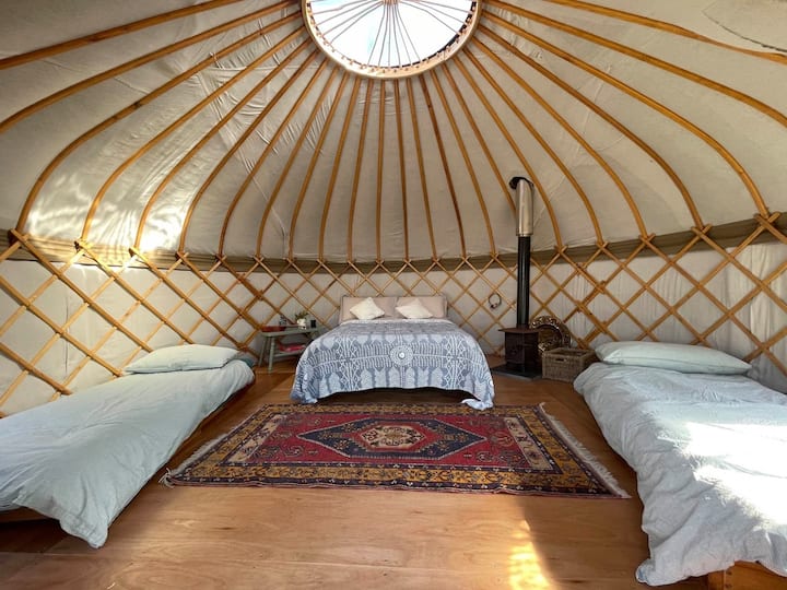 Ty Twt Yurt, Bôn Camping - Solva