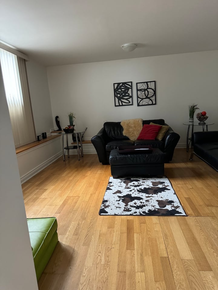 Central Canal, Spacious,priv.entrance&priv.parking - Gatineau